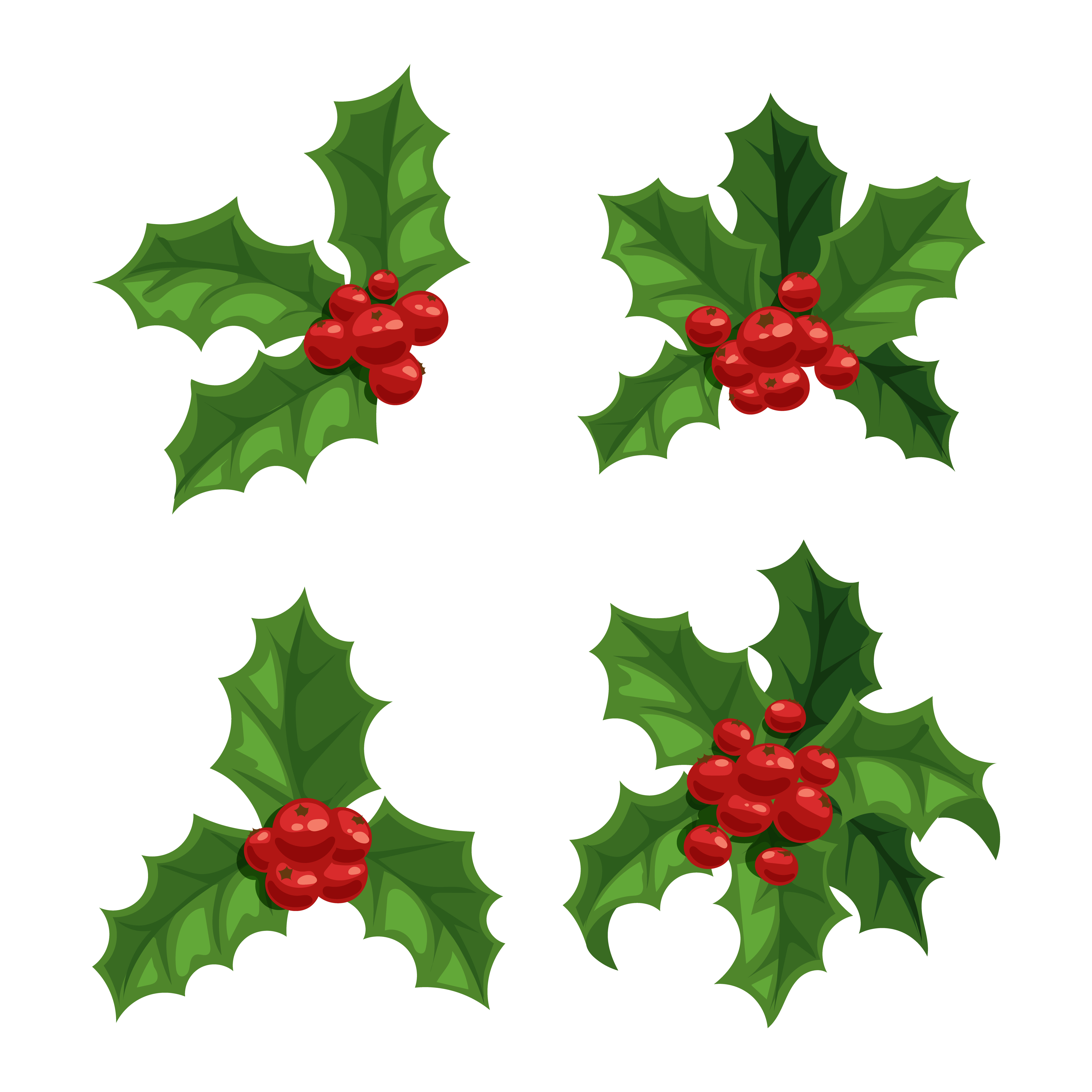 Christmas berry decoration vector | Decorative Illustrations ~ Creative ...