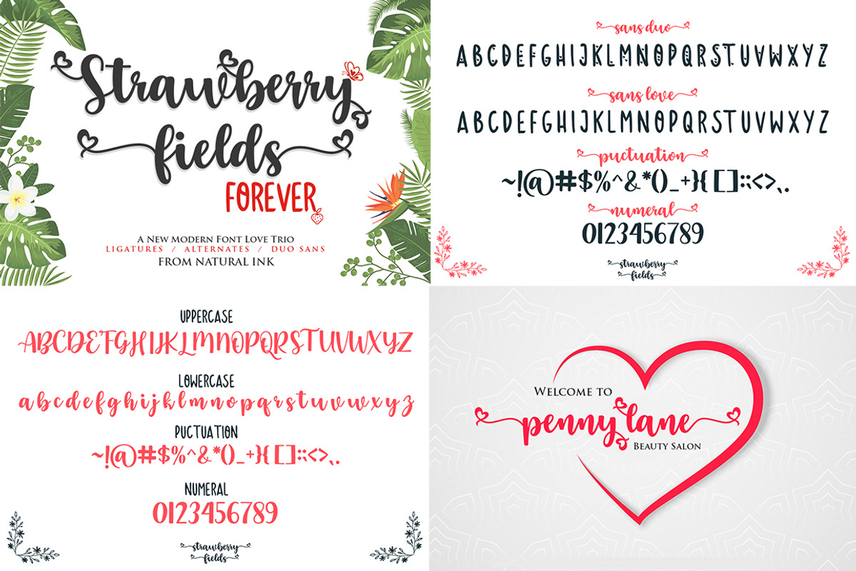 The Great Collection Font Bundles, a Script Font by Natural Ink Studio