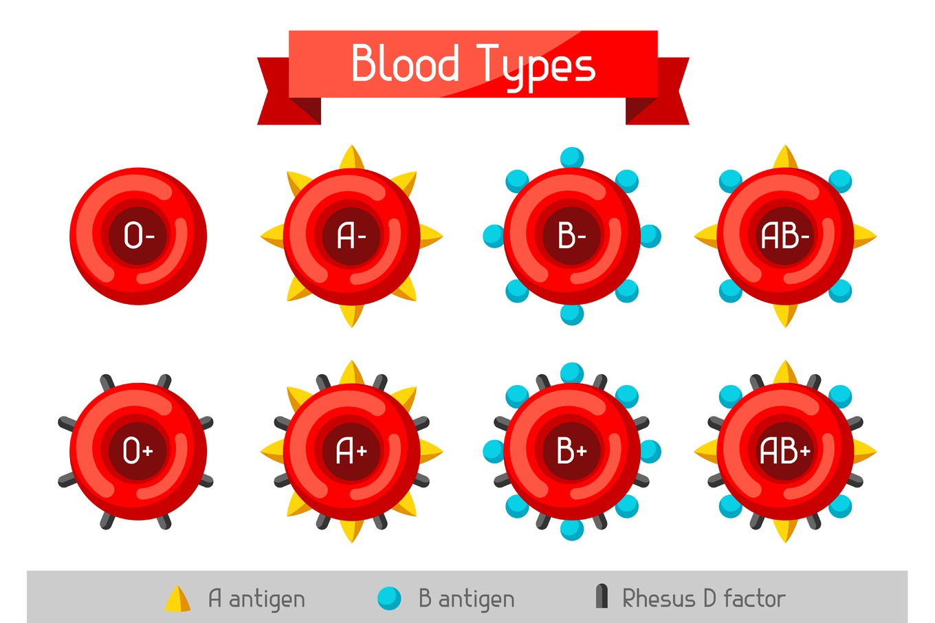 Set of blood cells types. Medical and healthcare infographic, a ...