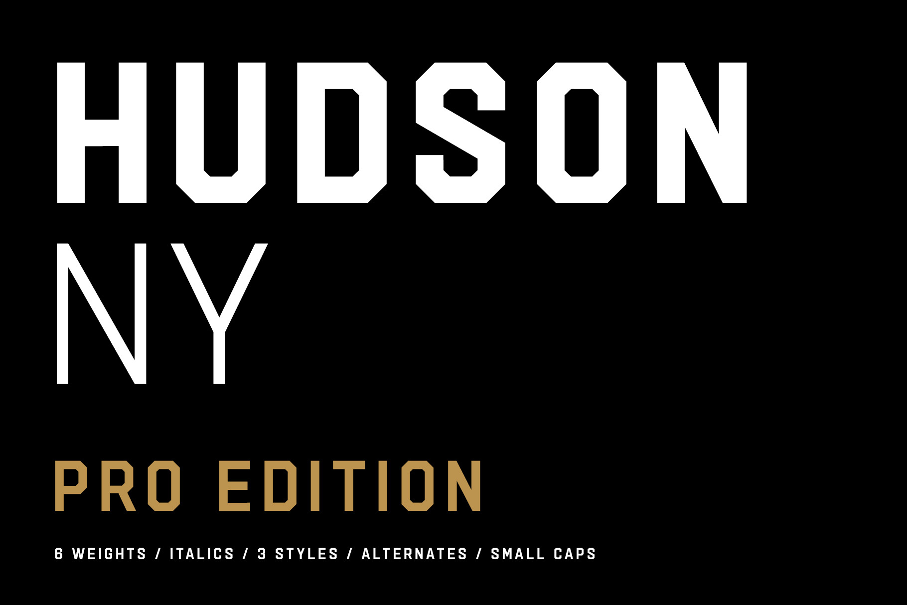 Hudson NY - Pro Edition, a Sans Serif Font by Arkitype