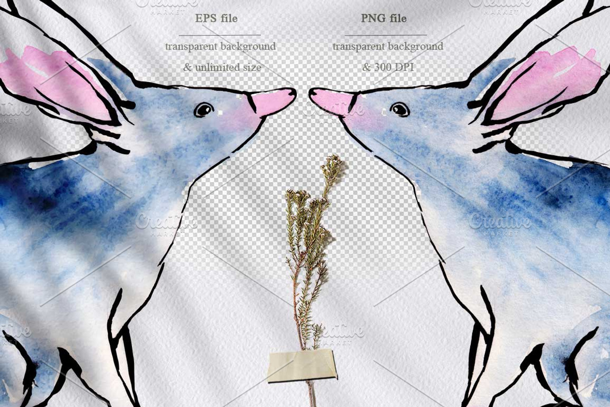 Australian animals. set 1, an Animal Illustration by luchioly