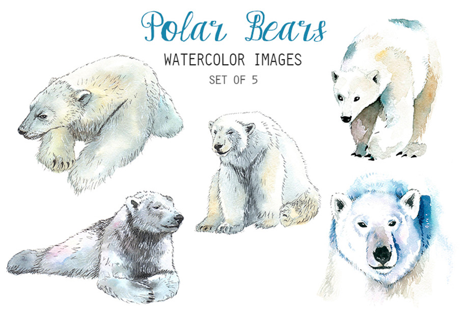Watercolor Polar Bear Clipart, an Animal Illustration by YesFoxy