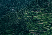 Dhanaulti Hills, a Nature Photo by HipFonts