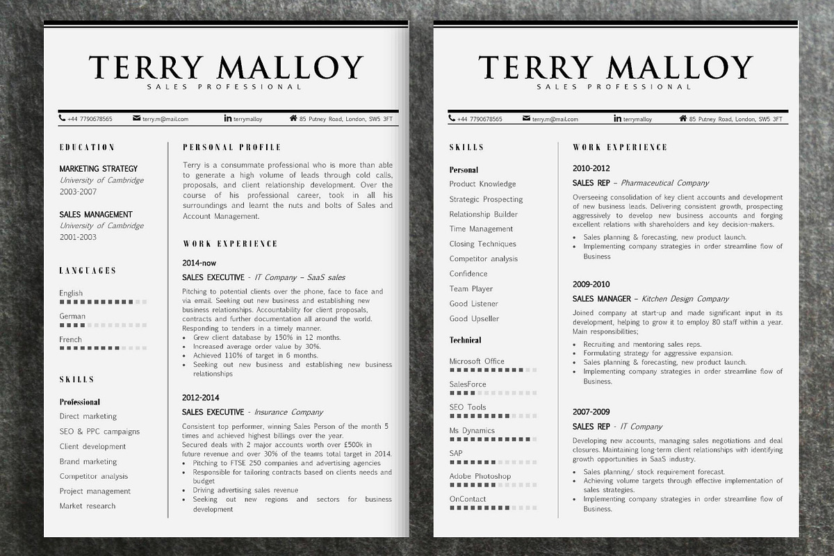 Resume Template | Terry, a Resume Template by ResumeWorkshop