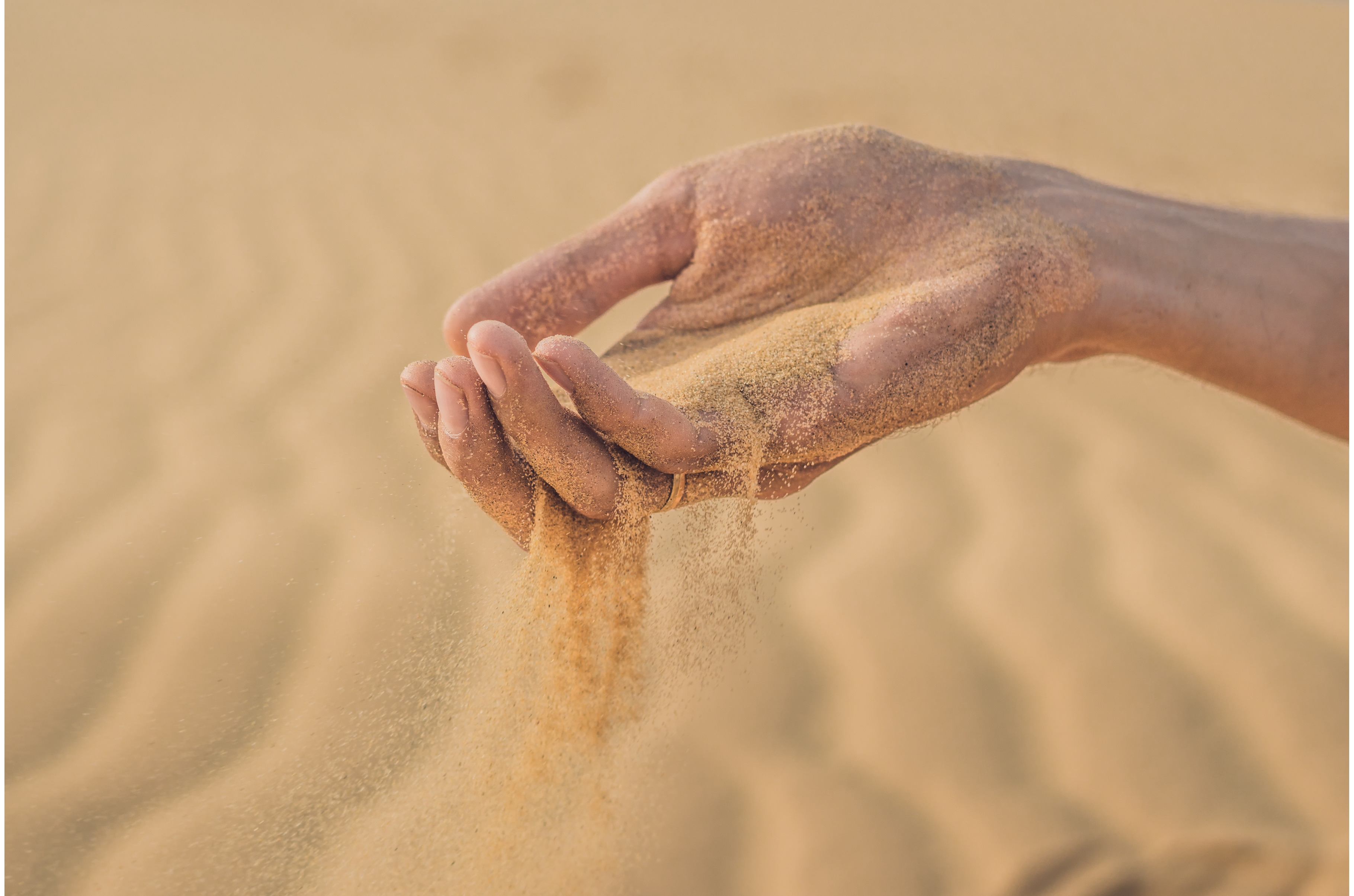 Desert, sand puffs through the, a Nature Photo by Elizaveta Galitskaya