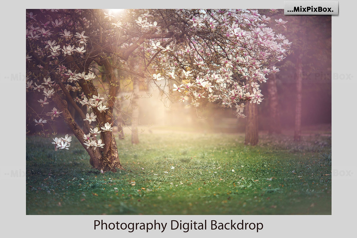 Spring Digital Backdrop, a Graphic by MixPixBox