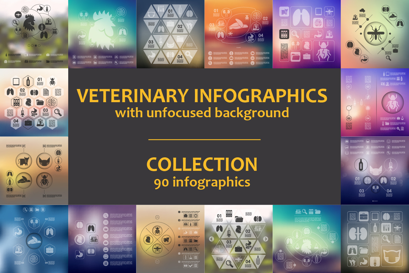 90 VET INFOGRAPHICS. Collection | Presentation Templates ~ Creative Market