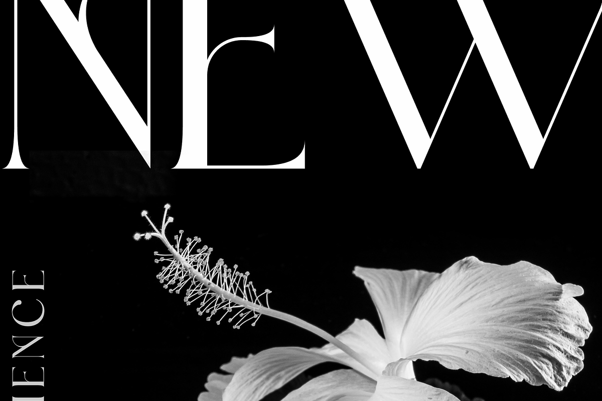 Elegant modern luxury font Twixt