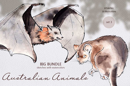 Australian animals. set 1, an Animal Illustration by luchioly