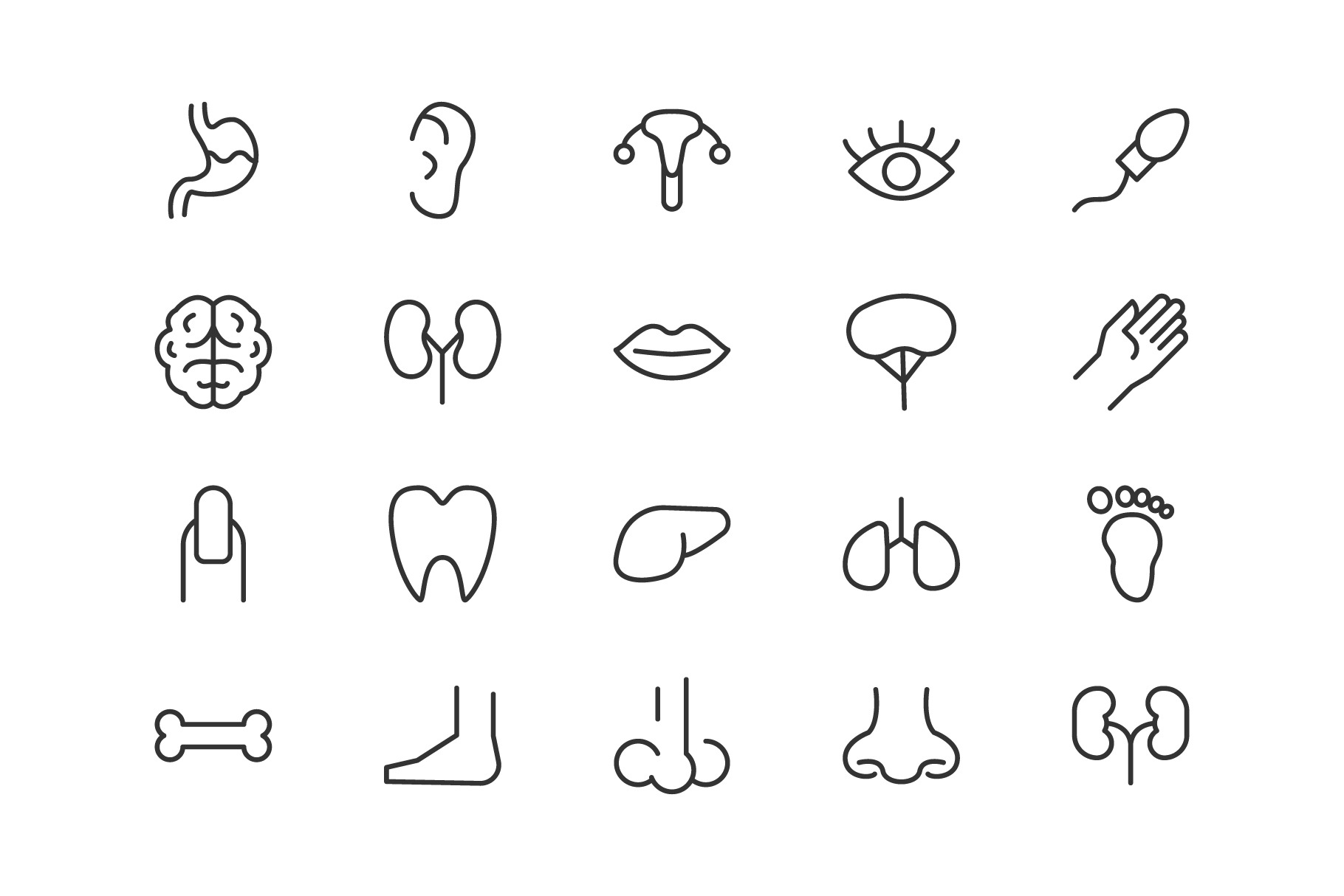 Pack Of Line Body Part Icons., an Outline Icon by DStarky