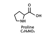 Proline molecular structure. Proline | Education Illustrations ...