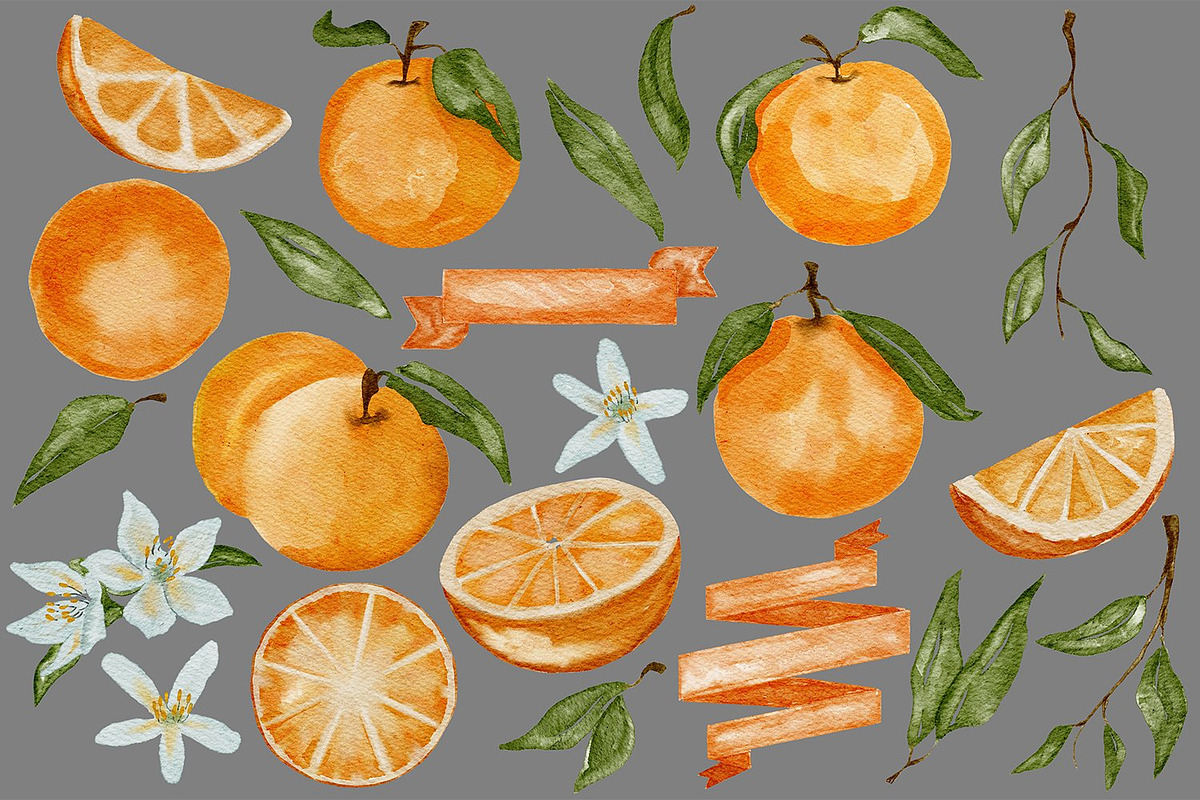 Watercolor Orange clipart PNG, a Decorative Illustration by LuiDesignStudio