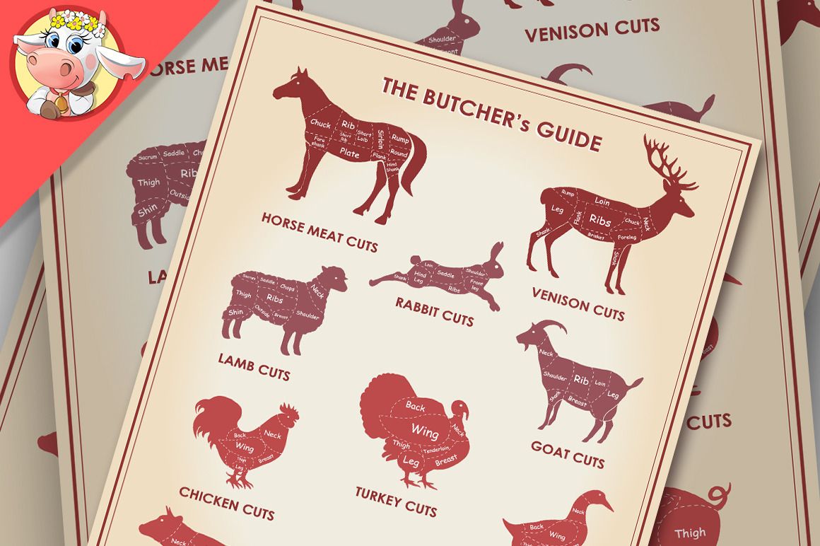 Diagrams for butcher shop, an Animal Illustration by Mother Cow Shop