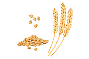 Wheat, rye, oat and barley | Food Illustrations ~ Creative Market