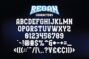 Regan Slab, a Slab Serif Font by TGIF.STD