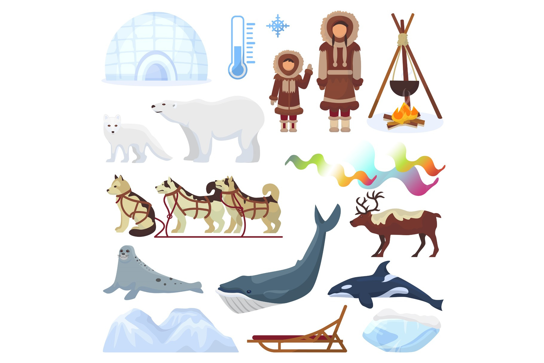 Arctic vector northern borealis norway and husky dog sledding sledge to ...