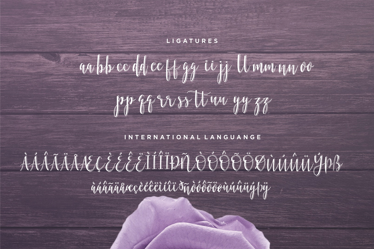 Violette Script Font, a Script Font by Sronstudio | Creative Market