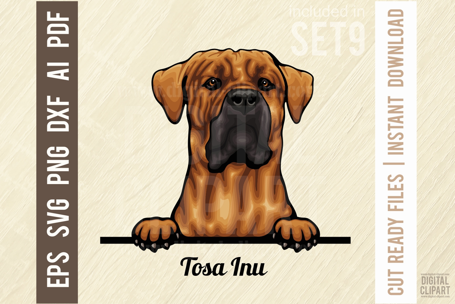 Tosa Inu - Peeking Dog Color SVG, an Illustration by Digital-Clipart