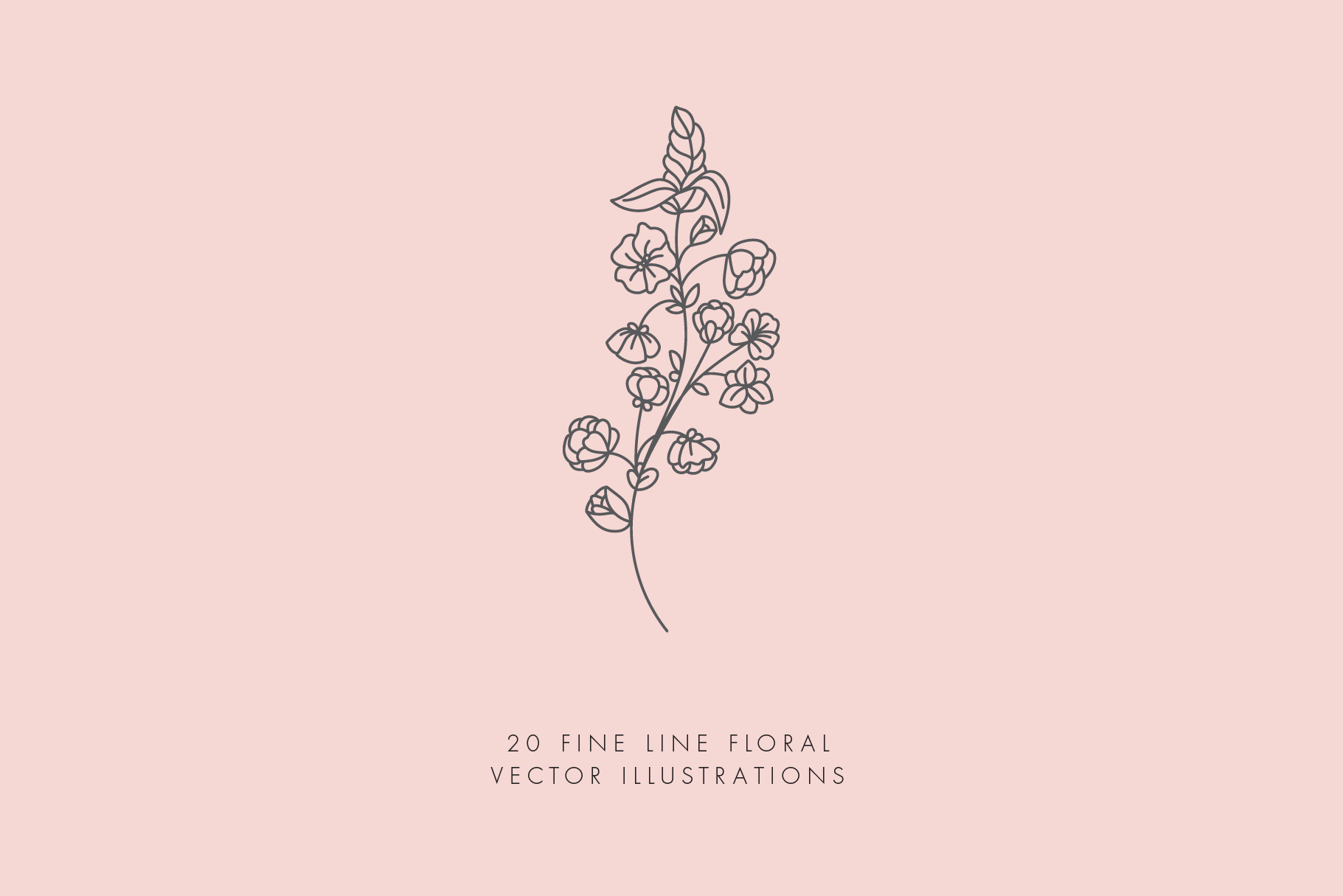 Fine Line Floral Elements, an Illustration by Inkwell Supply Co