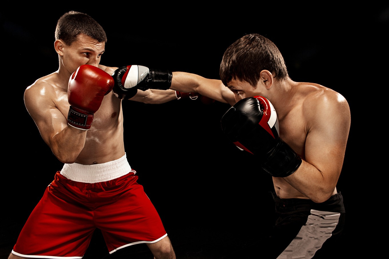 Two professional boxer boxing on black background featuring boxing ...