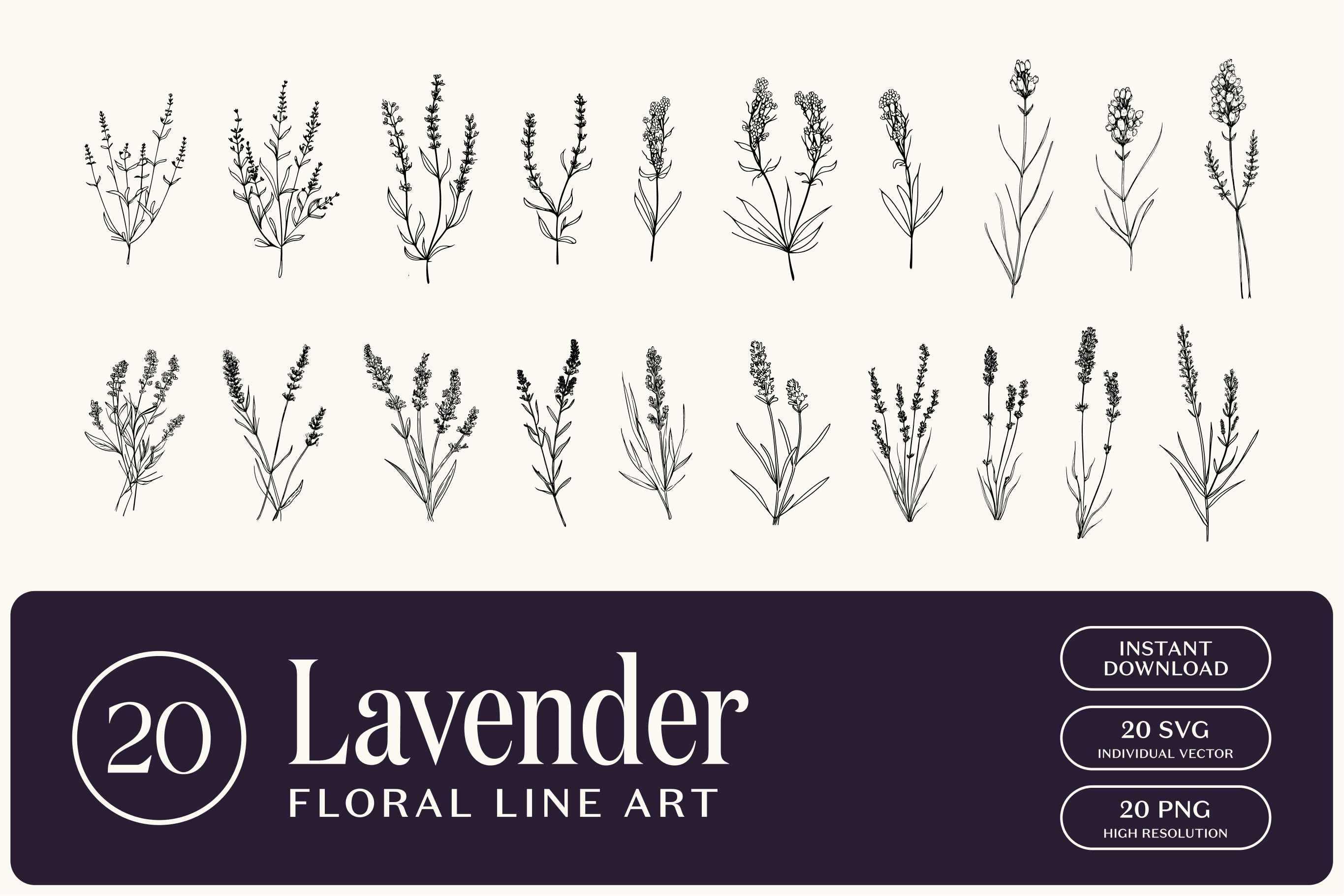 Lavender Floral Line Art, an Illustration by Plantyful