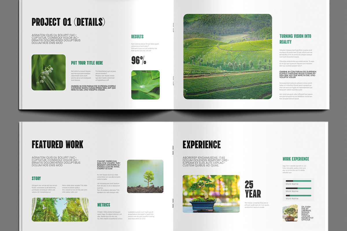 Professional Photography Portfolio