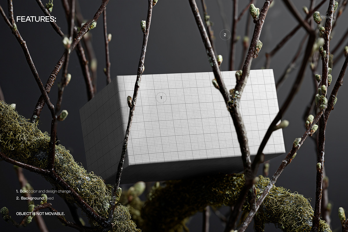 Paper Box in Tree Branches Mockup, a Packaging Mockup by creatsy5