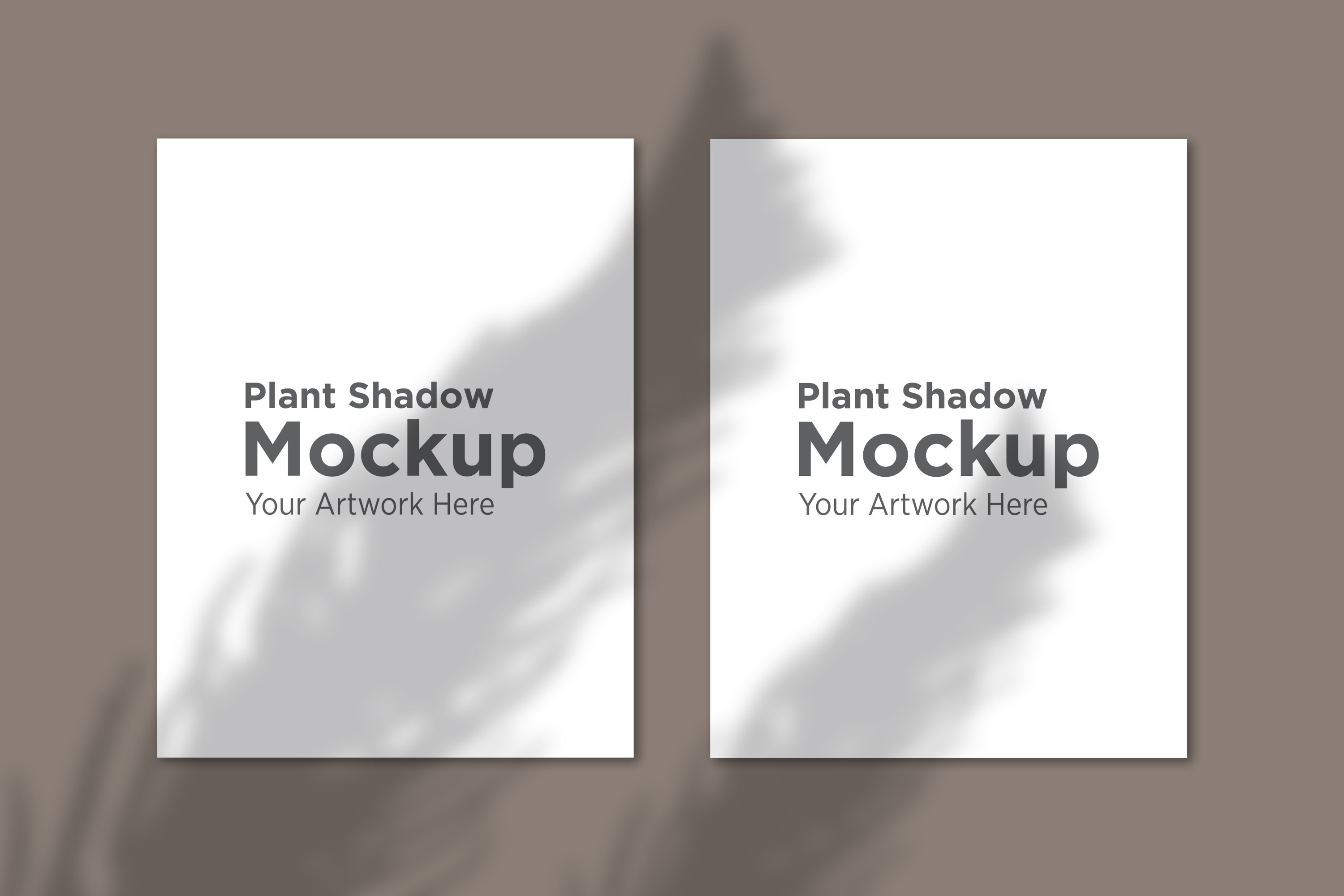 Plant Shadow Mockup Template, a Product Mockup by shahsoft