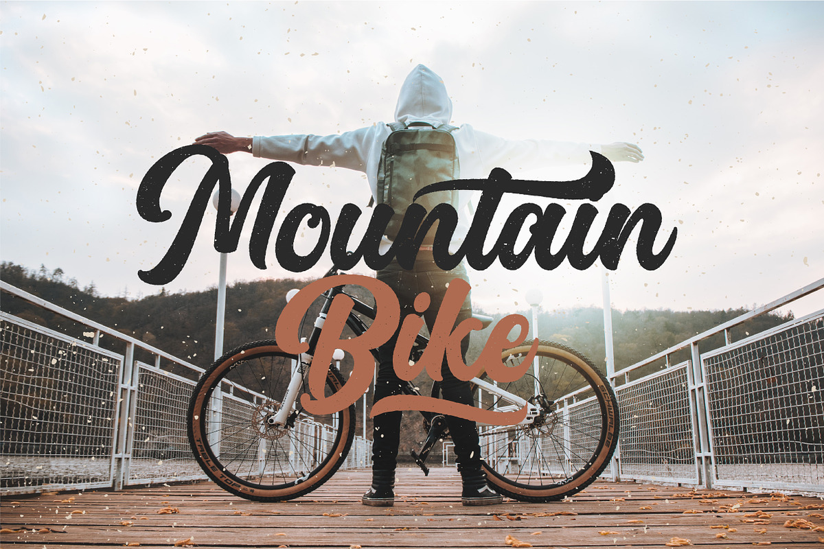 Platina Script / All Version, a Script Font by Debut Studio