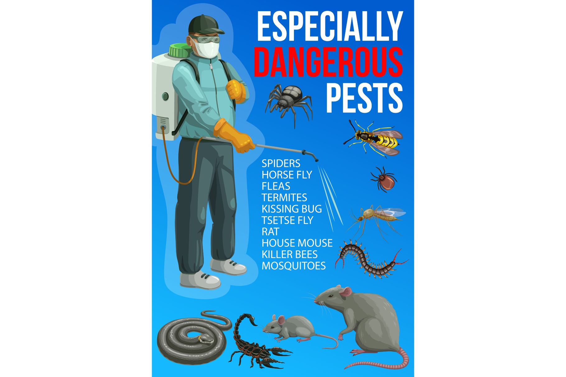 Pest control, insects, rodents | Illustrations ~ Creative Market