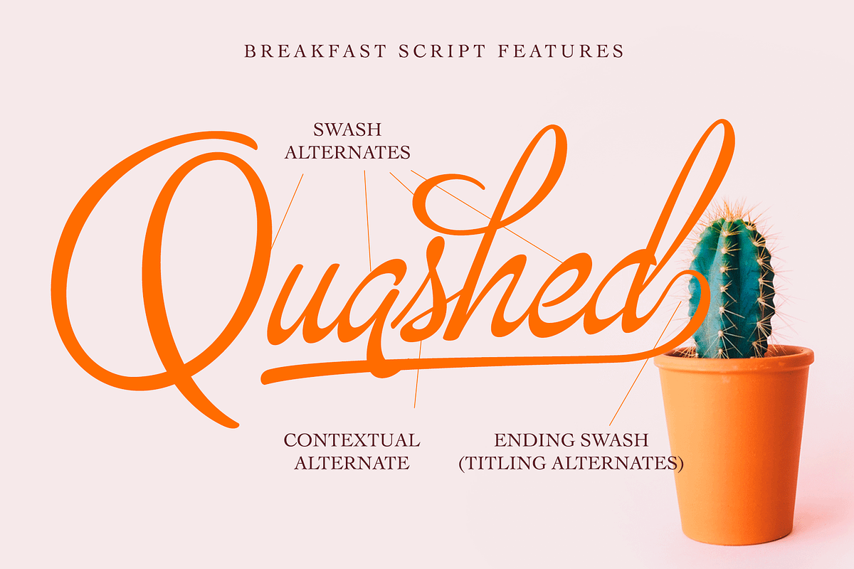 Breakfast Script, a Script Font by Fenotype