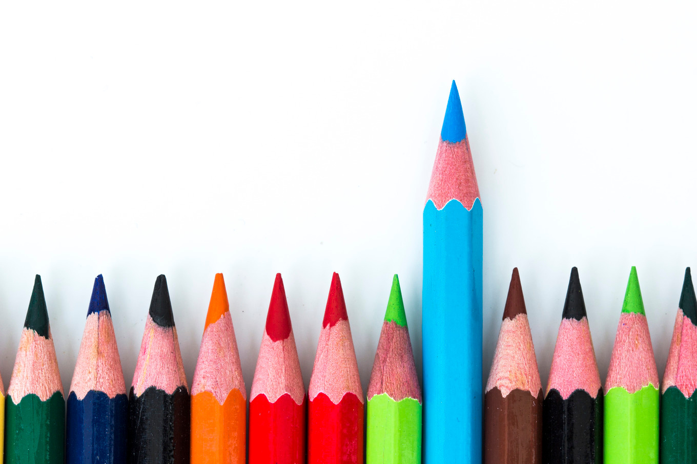 Color pencils on white background featuring colored pencil, pencil, and ...