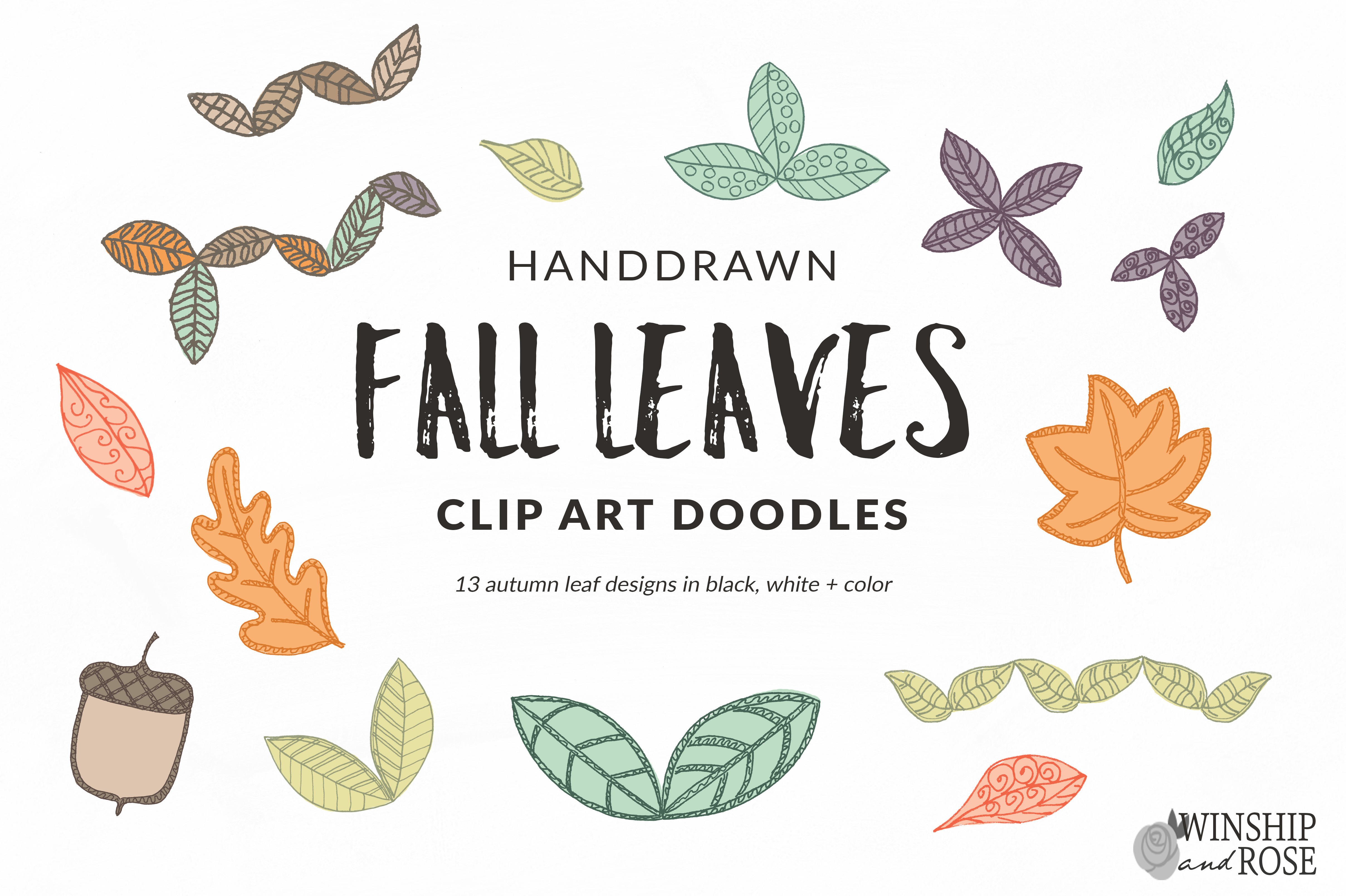 Fall Leaves - Leaf Clip Art Doodles, an Illustration by WinshipAndRose