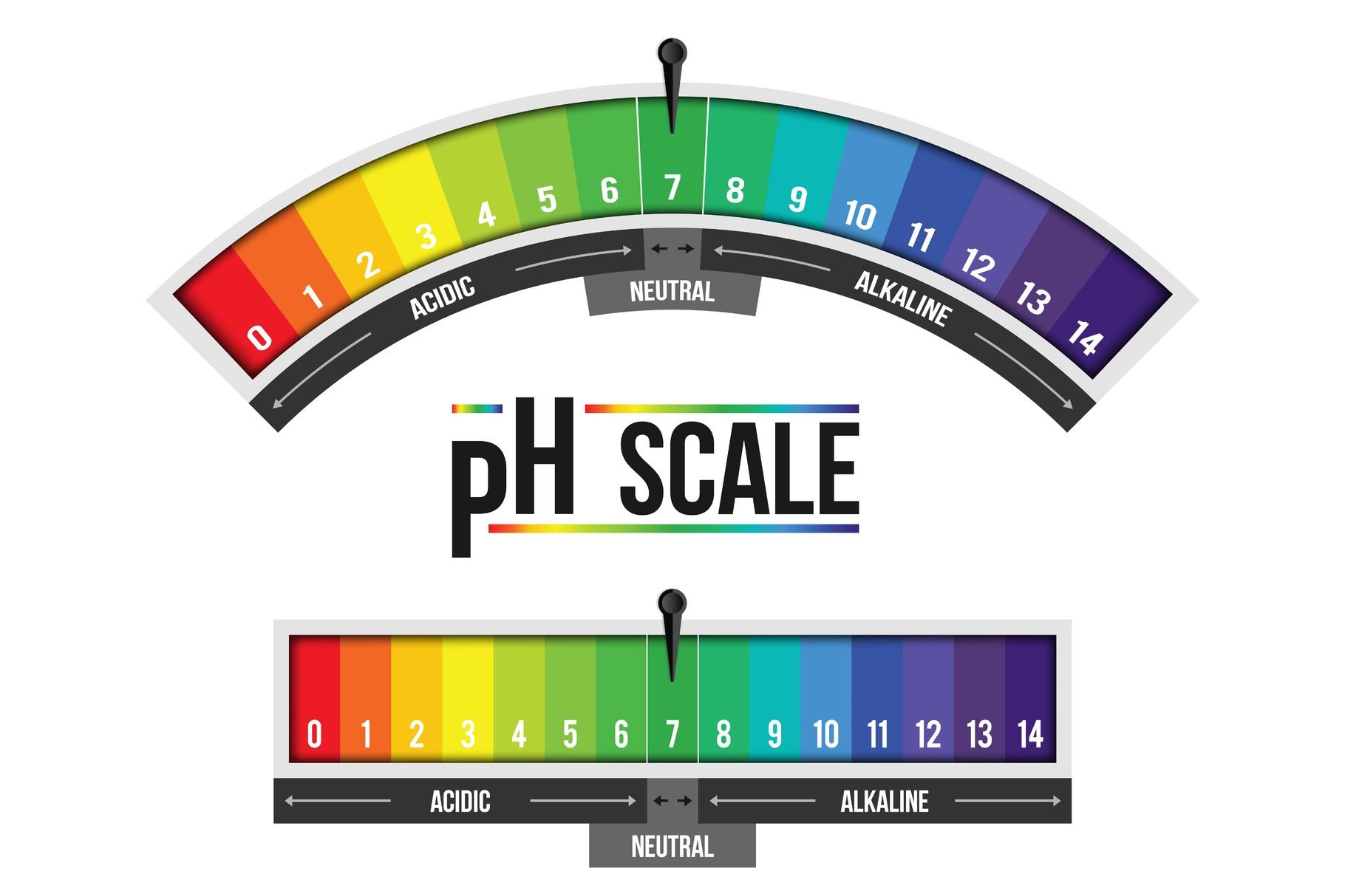 pH scale value, litmus paper element, an Education Illustration by ...
