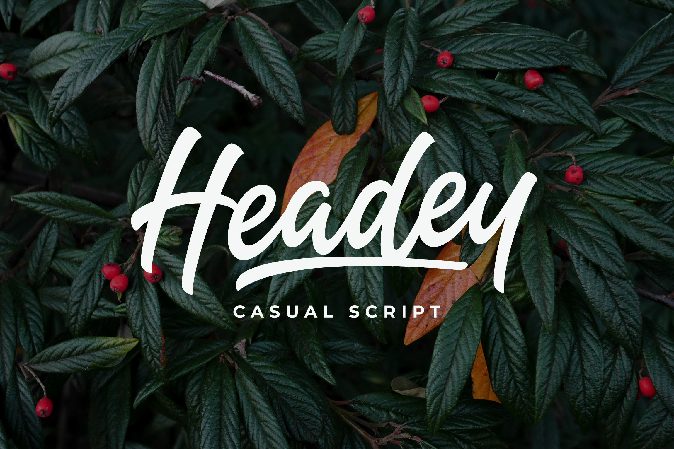 Headey Script, a Script Font by Get Studio