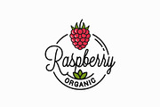 Raspberry logo. Round linear logo. | Graphic Objects ~ Creative Market