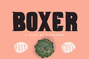 Boxer Typeface, a Slab Serif Font by giemons™