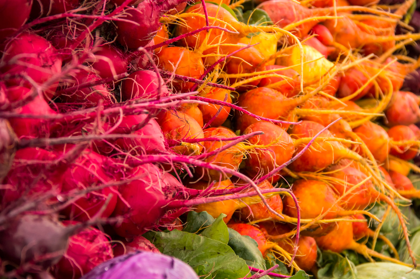 Colorful Beets, a Food & Drink Photo by A Wandering Light