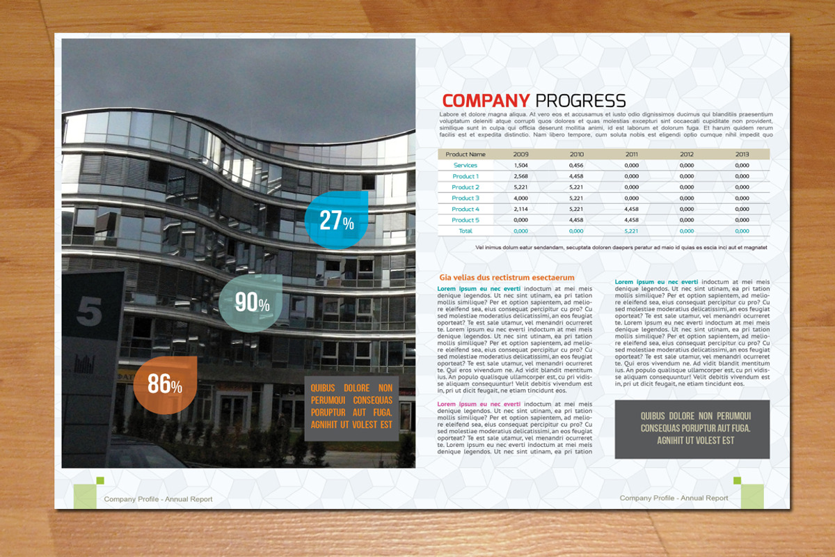 Company Profile - Annual Report, a Magazine Template by Flyer King