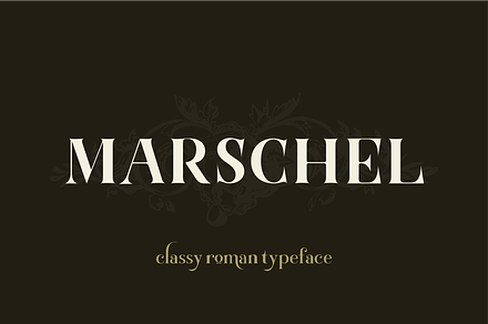 The Wallington Pro, a Serif Font by Zeune Type Foundry