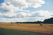 Hayfield with Hay Bales, a Nature Photo by Jamie Pickering