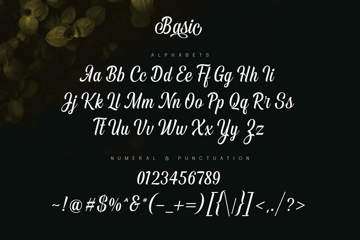 Vontgod Typeface, a Script Font by alit design