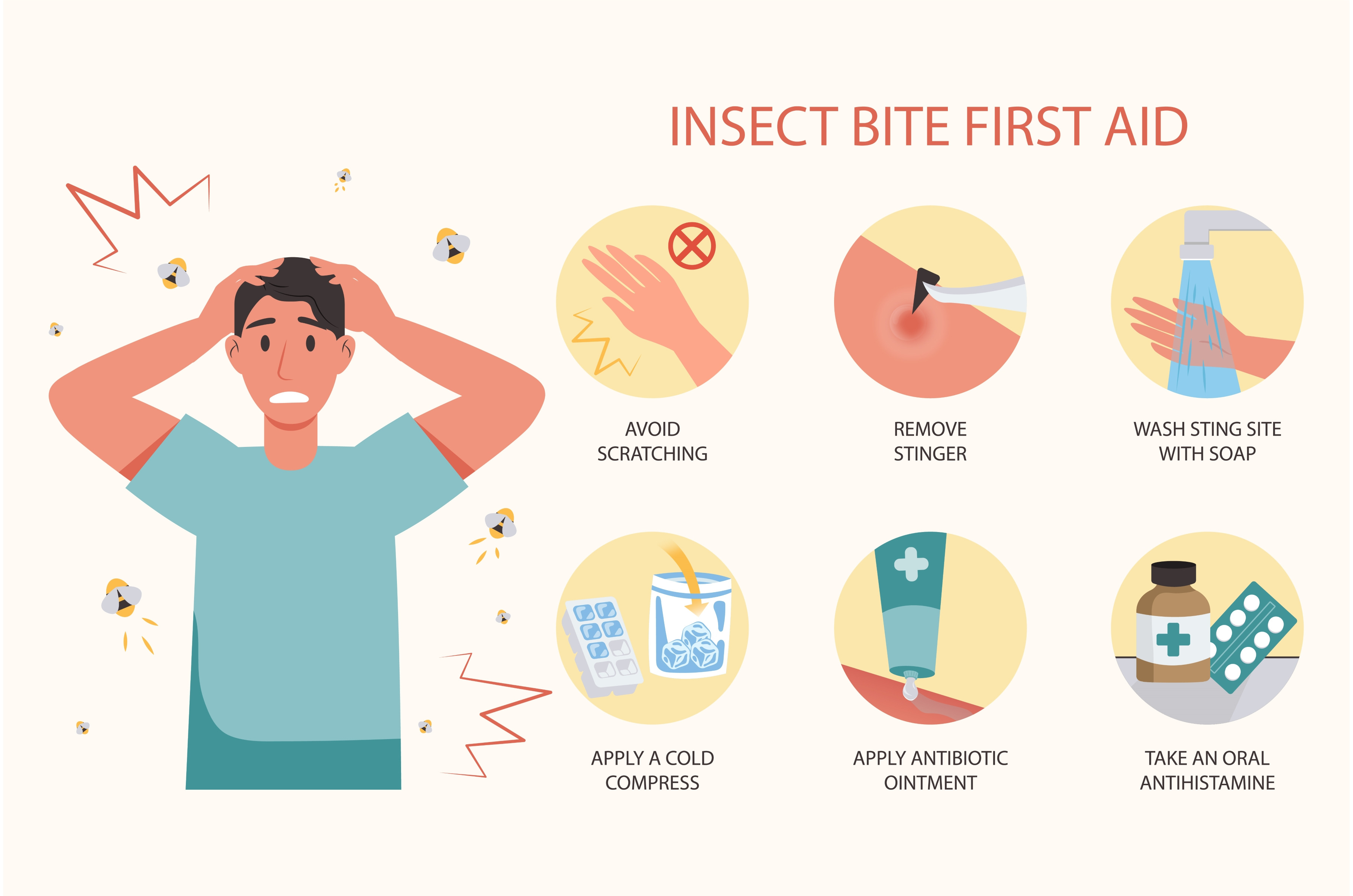Insect bite first aid concept, an Object Graphic by Dessign Sells