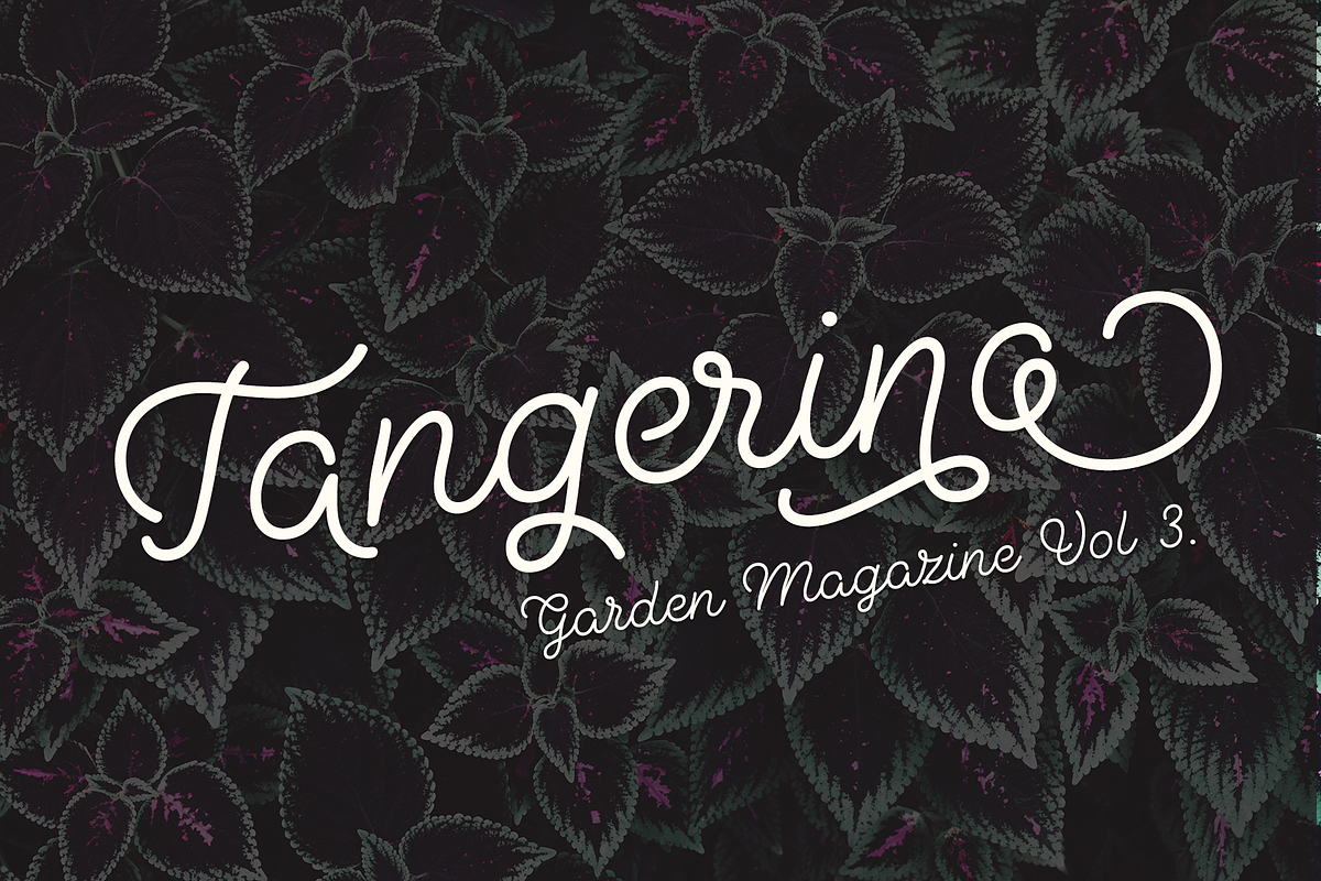 Sugar Cane, a Script Font by Uniontype