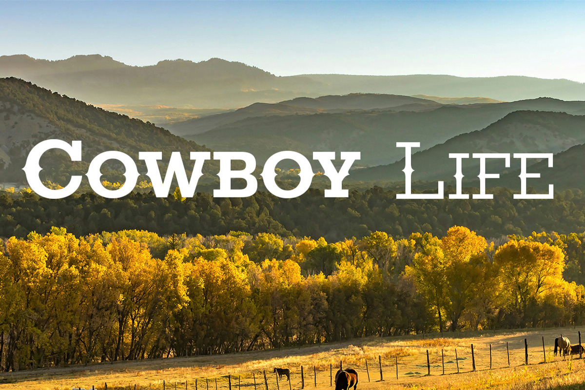 Ranch SC font family, a Slab Serif Font by FontMesa | Creative Market