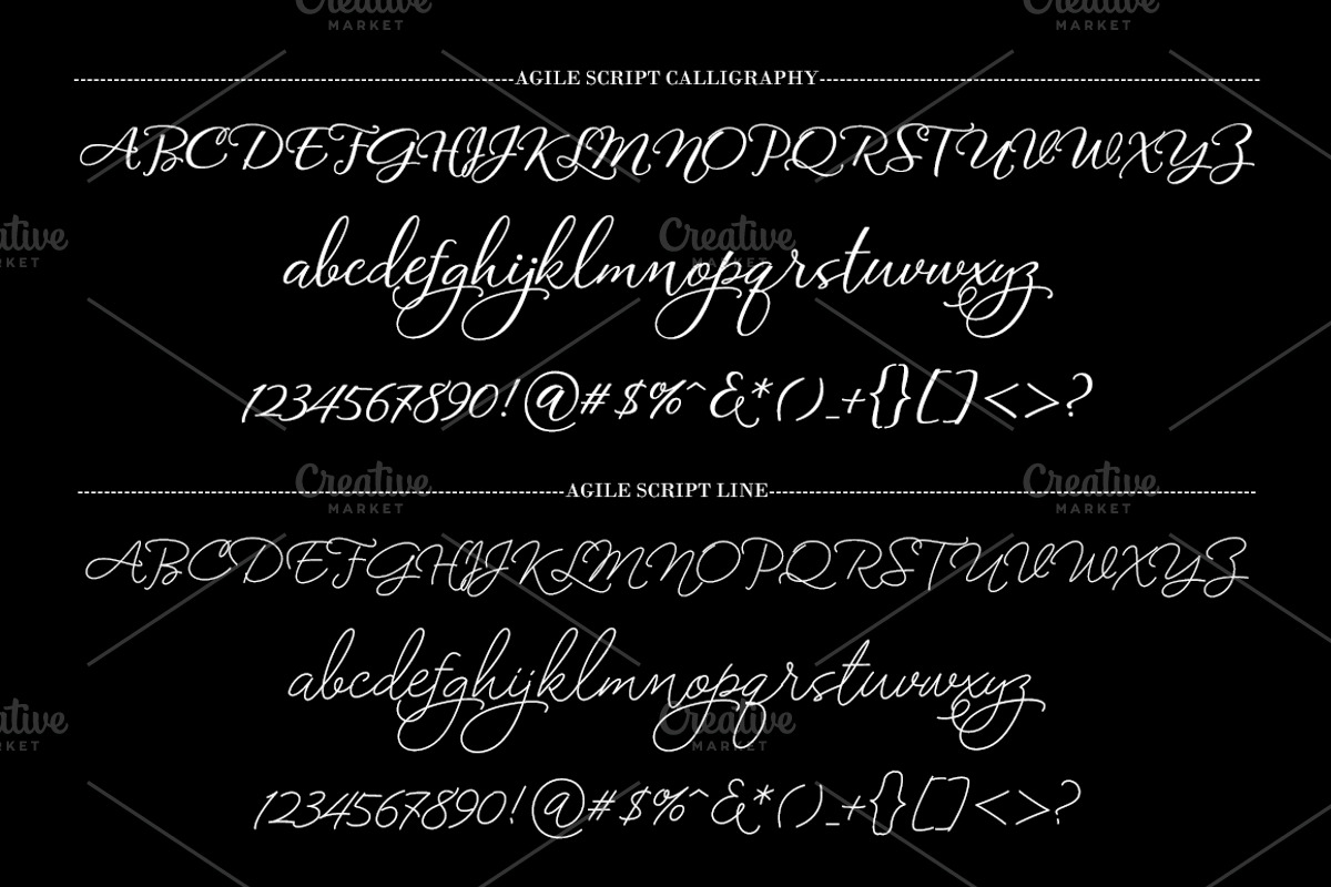 Agile Script Typeface, a Script Font by alphadesign