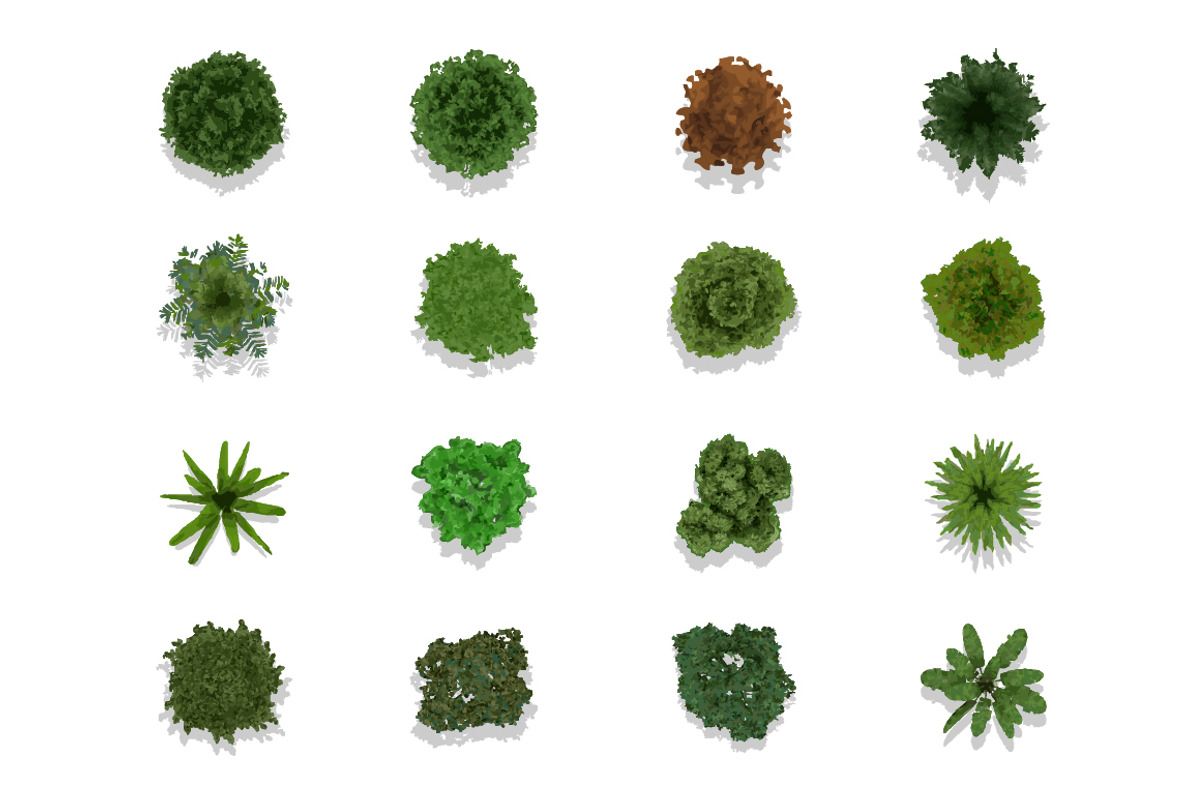 72 Vector Trees Top View, an Object Graphic by WORAKAMON Design Studio