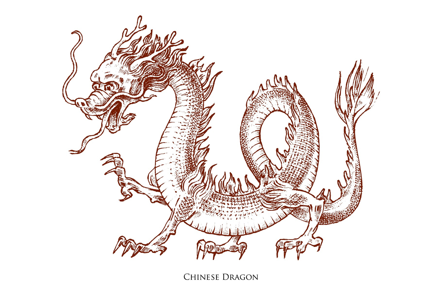 Chinese dragon. Mythological, an Animal Illustration by Arthur Balitskiy