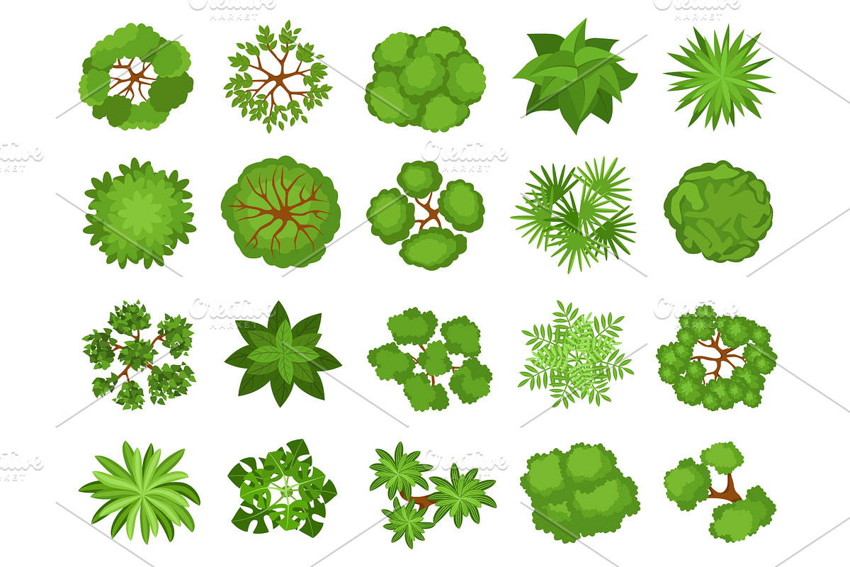 Cartoon top view trees, plants, an Object Illustration by Frogella