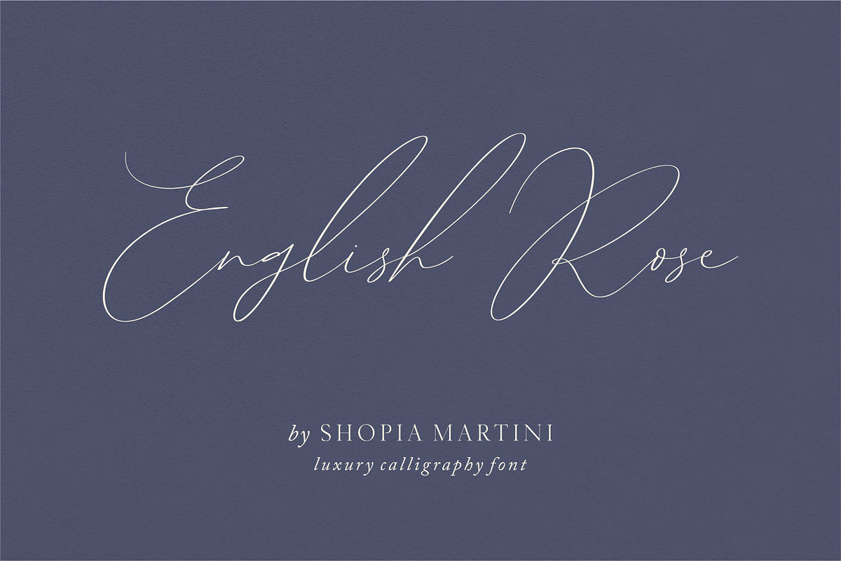 Sophia Martini Calligraphy Script Font | sophia martini font | Creative ...